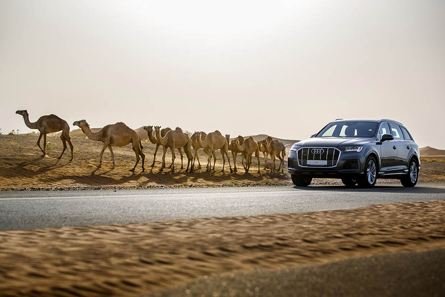 StriveME - وصول اودي Q7 2020 إلى وكالات الشركة في الشرق الأوسط